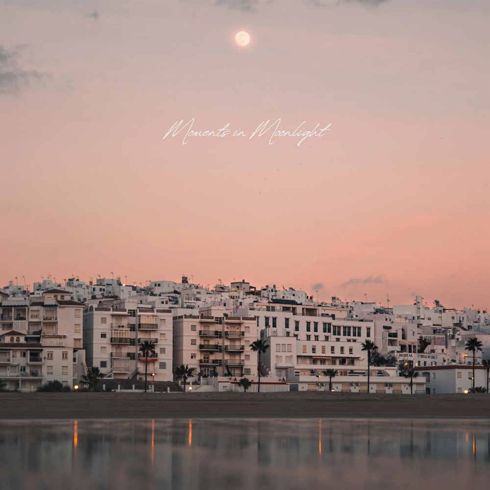 Foster Davies - Moments in Moonlight - Reviews - Album of The Year