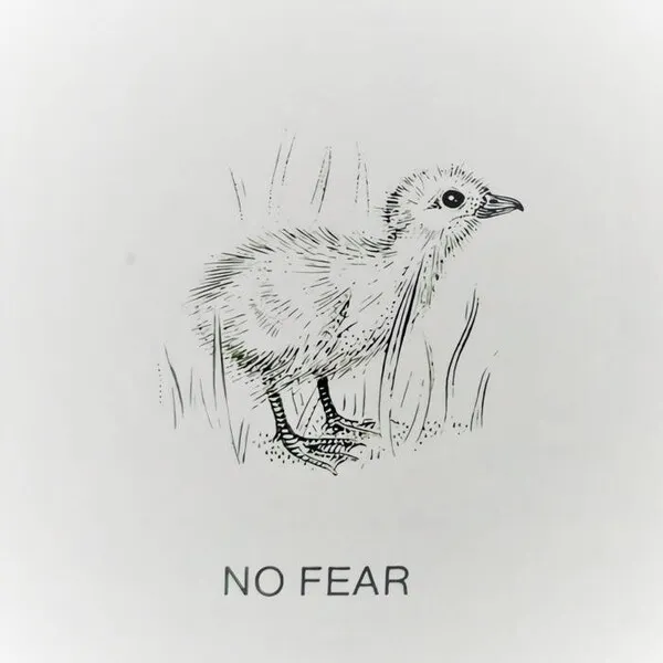 Fin Fior - NO FEAR (EP) - Reviews - Album of The Year