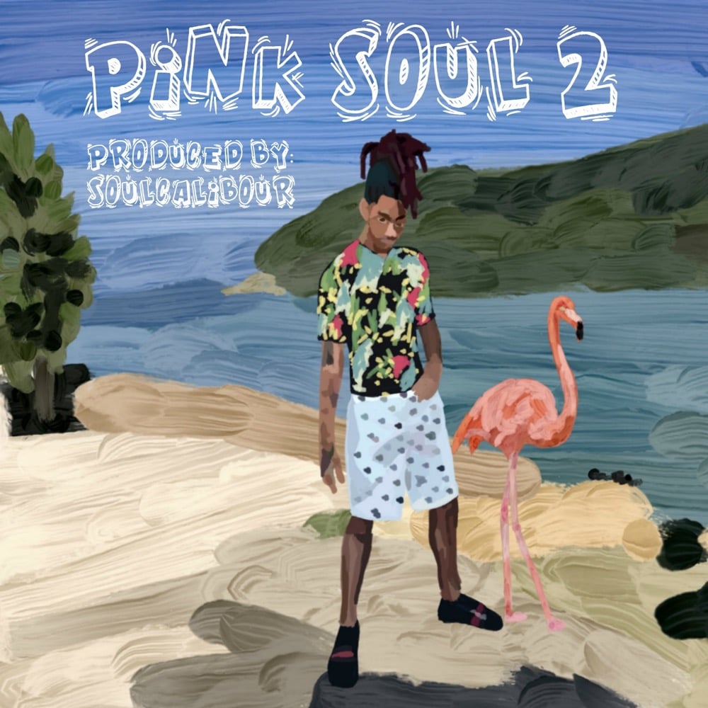 LiL Flamingo - Pink Soul 2 - Reviews - Album of The Year