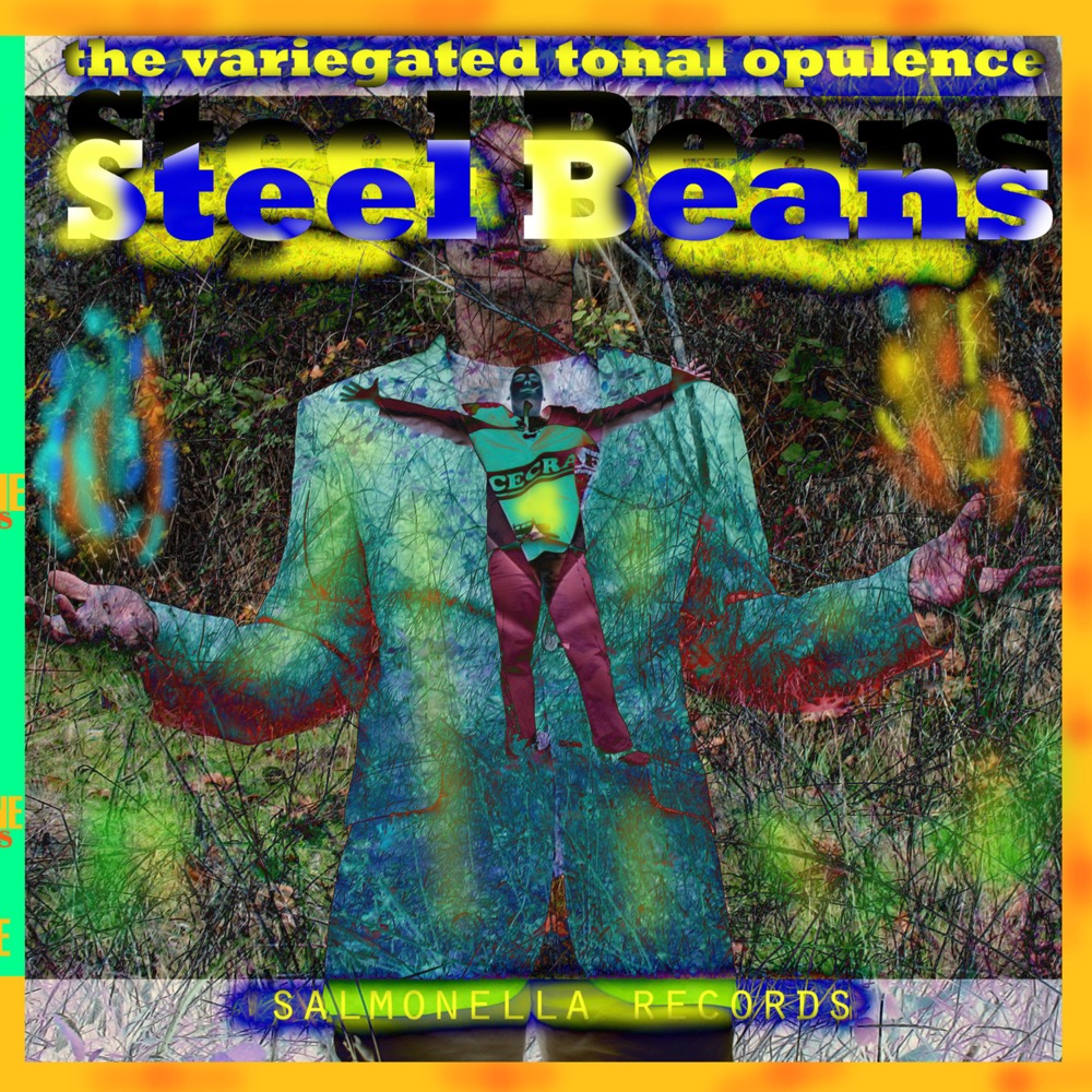 Steel Beans - The Variegated Tonal Opulence - Reviews - Album of The Year