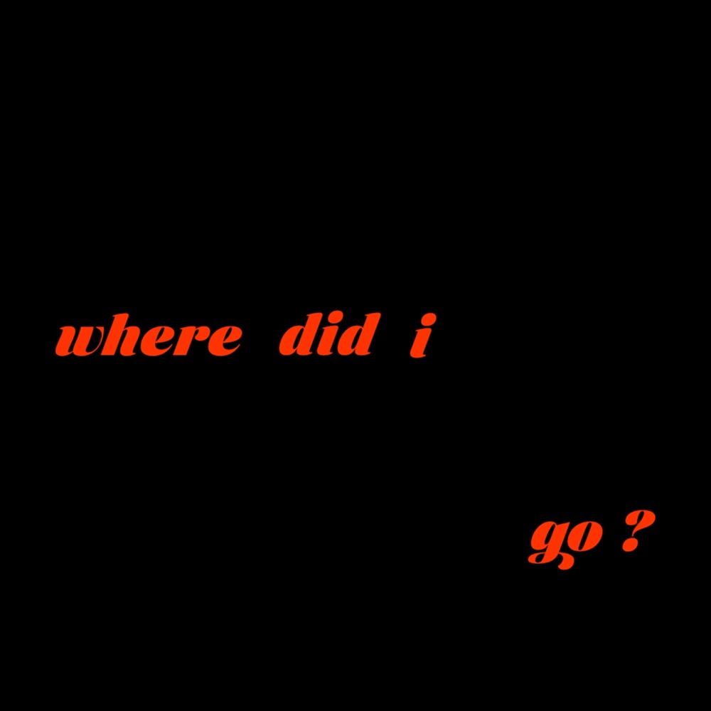 Shelf Lives - Where Did I Go? - Reviews - Album of The Year