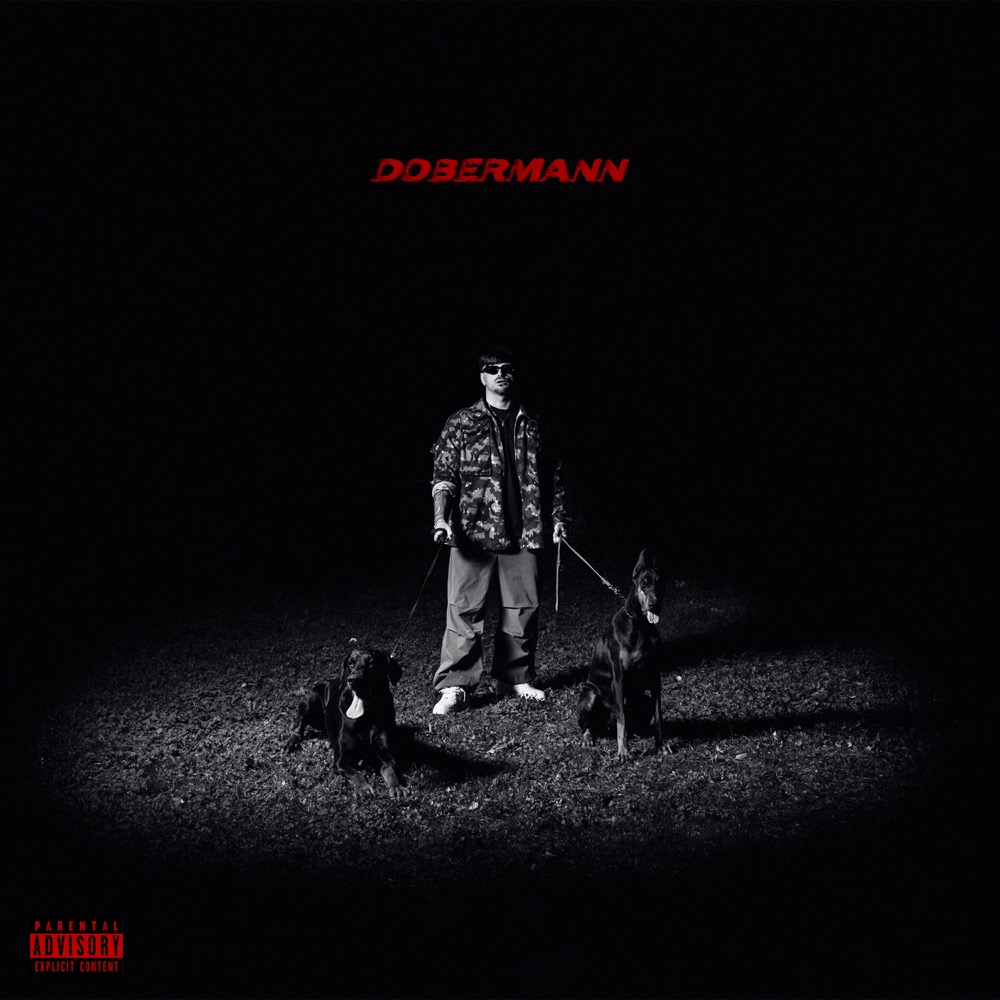 Ciro Zero - Dobermann - Reviews - Album of The Year