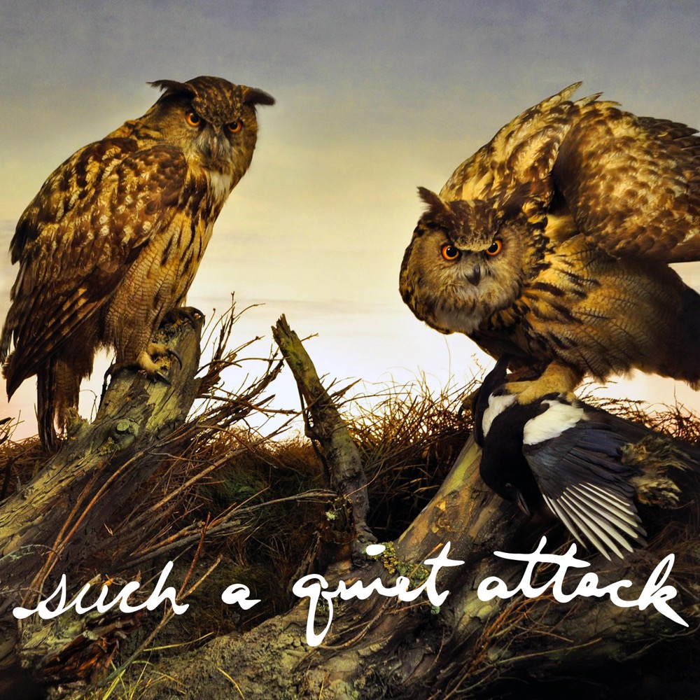 Matt MacNeil - Such a Quiet Attack - Reviews - Album of The Year