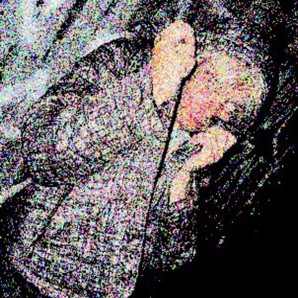 Kuma The Third - PRESSURE (Single) - Reviews - Album of The Year