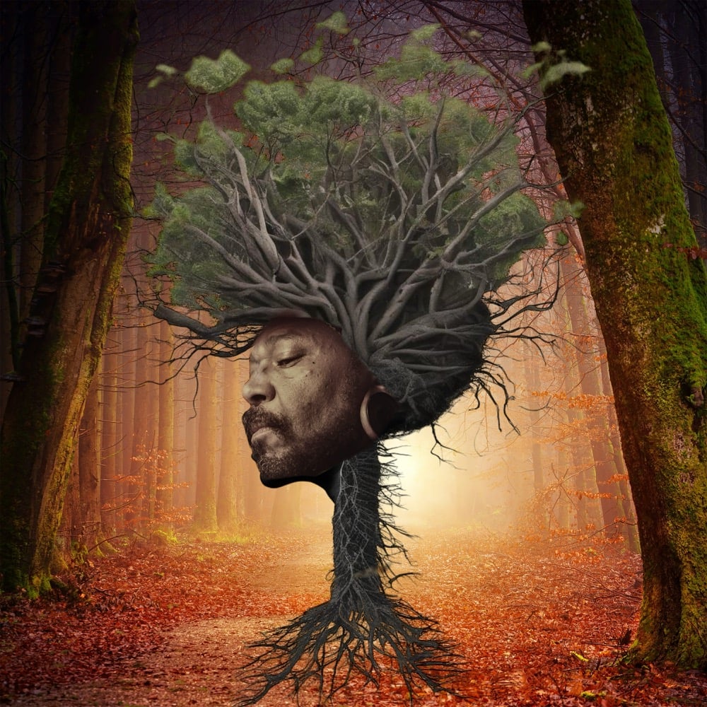 Osunlade - Inner Garden - Reviews - Album of The Year