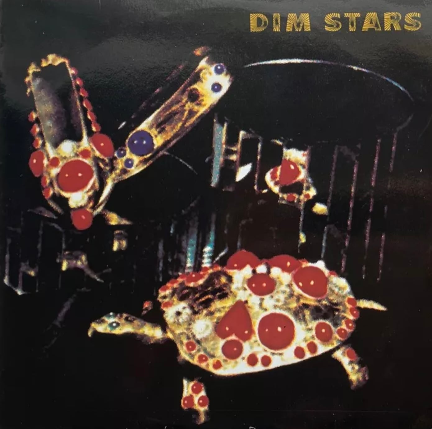 Dim Stars - Dim Stars - Reviews - Album of The Year