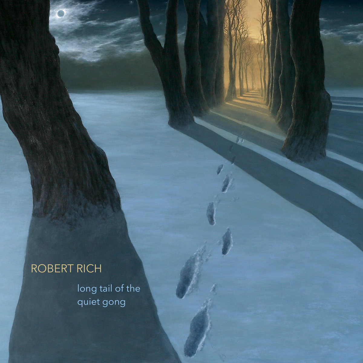 Robert Rich - Long Tail of the Quiet Gong - Reviews - Album of The Year