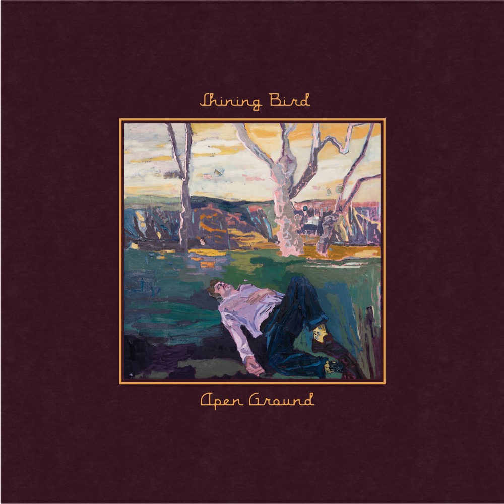Shining Bird - Open Ground - Reviews - Album of The Year