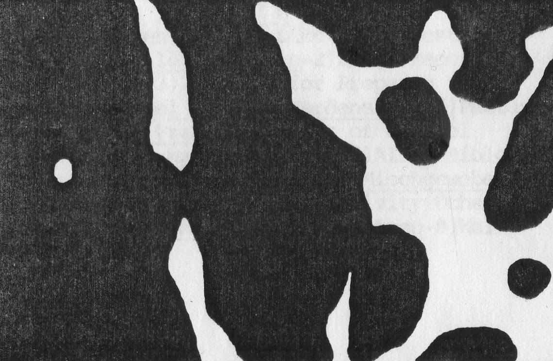 Various Artists - All Bare or Dead Forms Under Sunlight Cast Mysterious ...