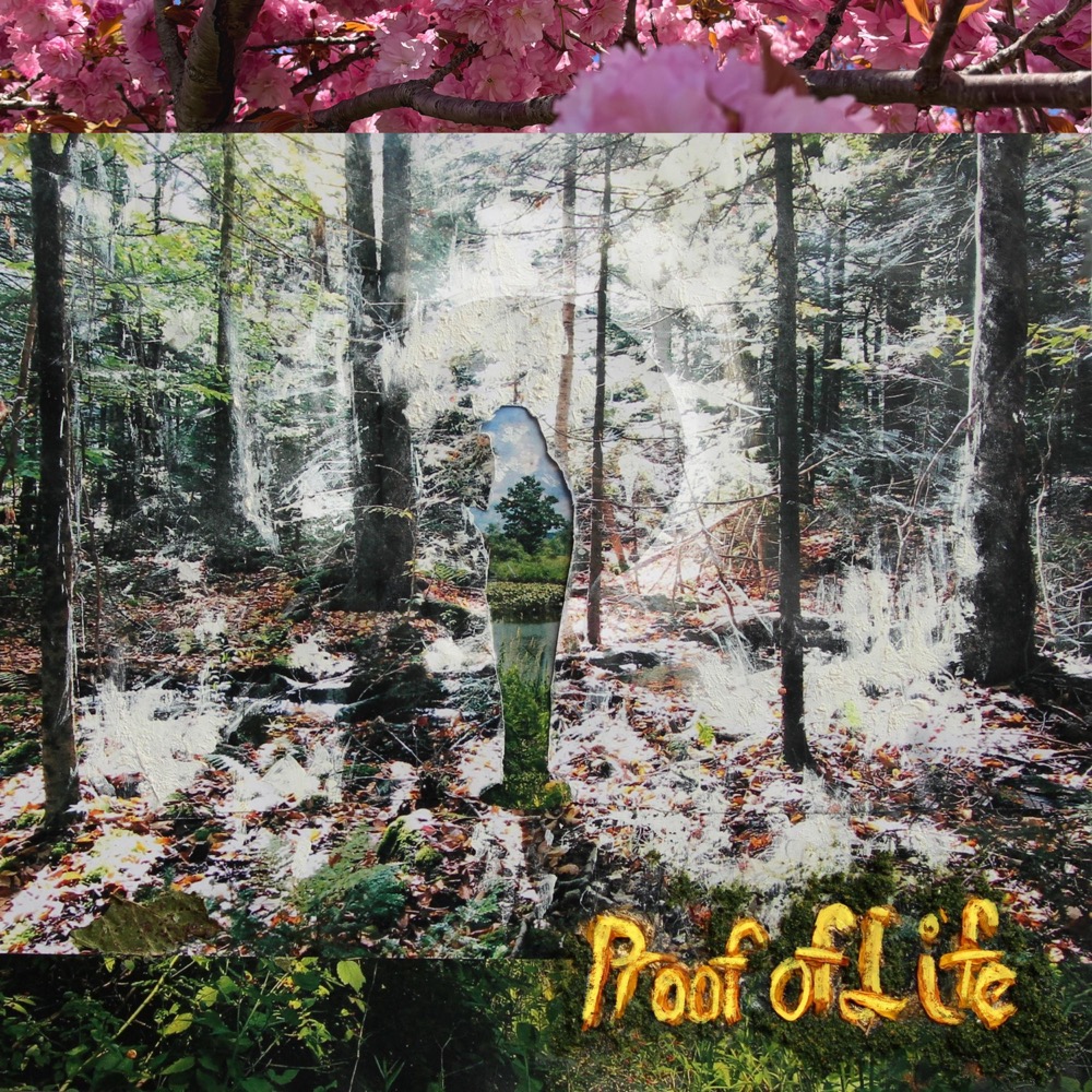 Cloud District - Proof of Life - Reviews - Album of The Year