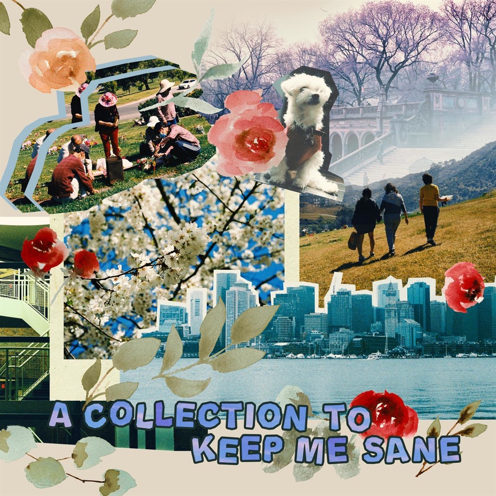 Paul Revere & Waine - A Collection To Keep Me Sane - Reviews - Album of ...