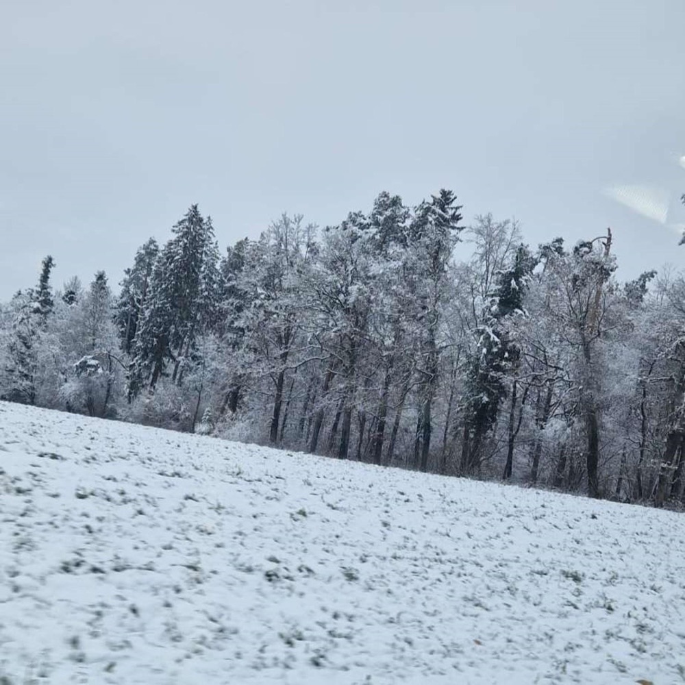 xavflos - absolute zero (stumblin') (Single) - Reviews - Album of The Year