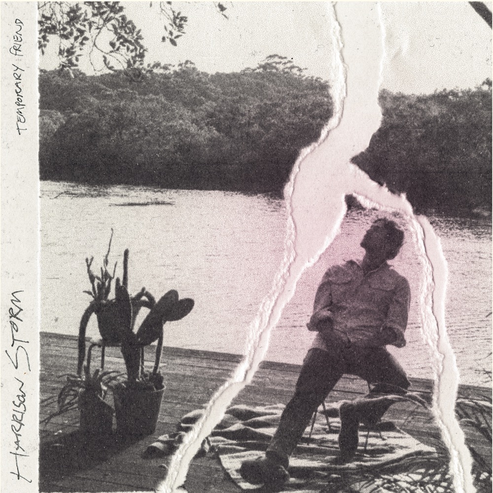 Harrison Storm - Temporary Friend - Reviews - Album of The Year