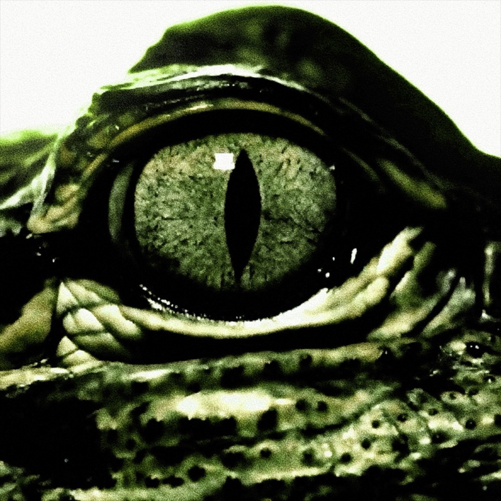 SLOE JACK - LANDMINE (Single) - Reviews - Album of The Year