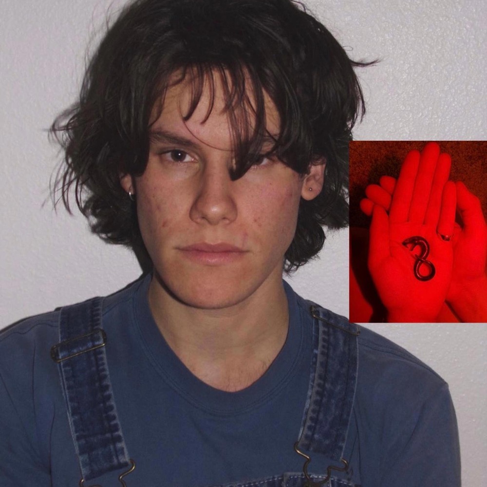 Steven Shoelace - garden snakes - Reviews - Album of The Year
