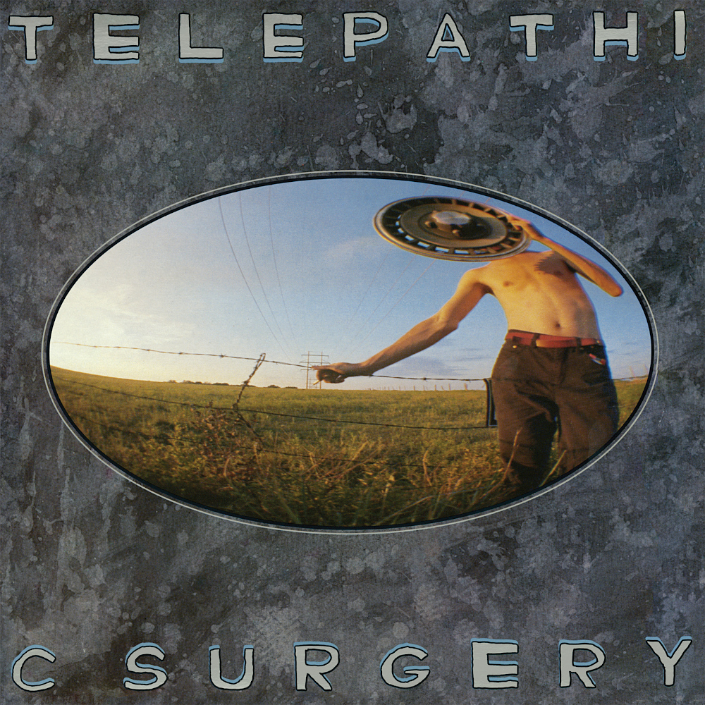 The Flaming Lips - Telepathic Surgery - Reviews - Album of The Year