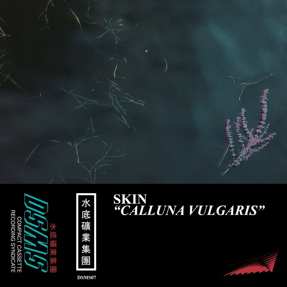 Skin - Calluna Vulgaris - Reviews - Album of The Year