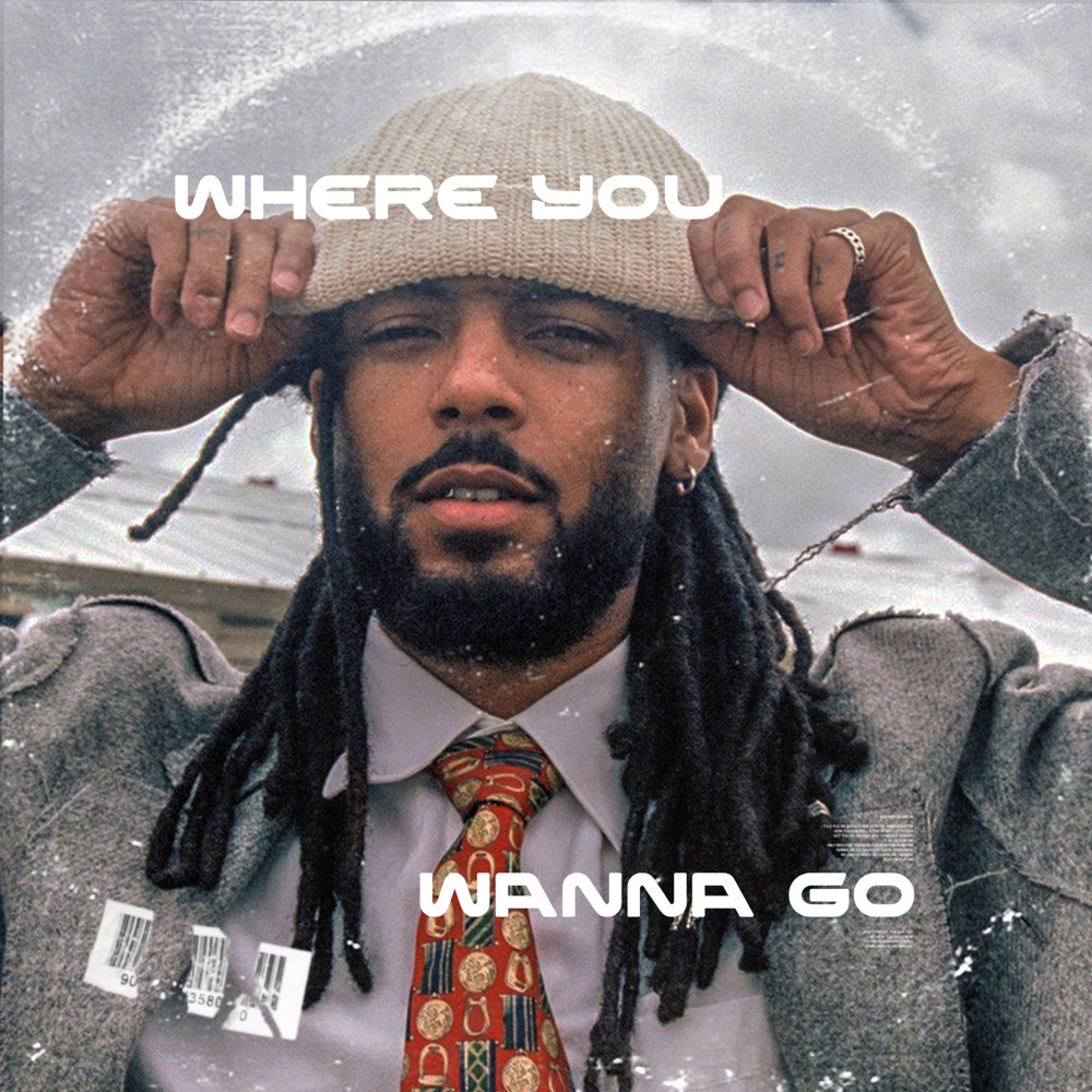 WESLEYFRANKLIN - WHERE YOU WANNA GO (Single) - Reviews - Album of The Year