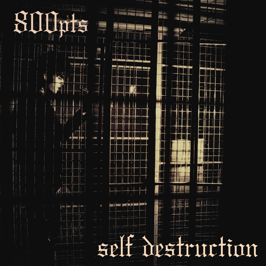 800pts - self destruction - Reviews - Album of The Year