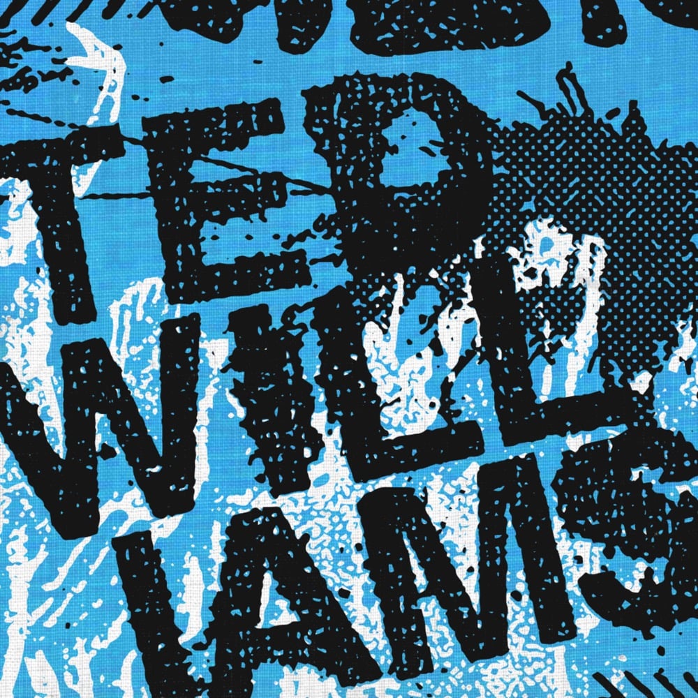 Ted Williams - Demo (Demo) - Reviews - Album of The Year