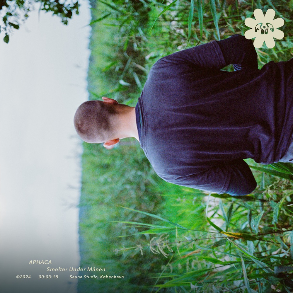 Aphaca - Smelter Under Månen (Single) - Reviews - Album of The Year