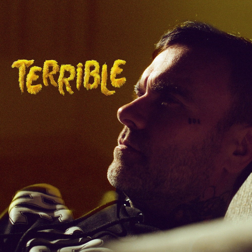 Robbietheused - Terrible - User Reviews - Album of The Year
