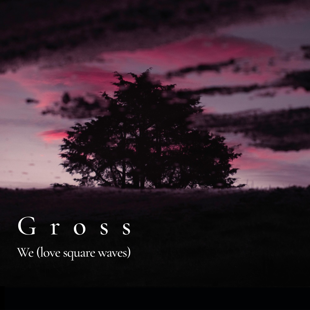 We Love Square Waves - Gross - Reviews - Album of The Year