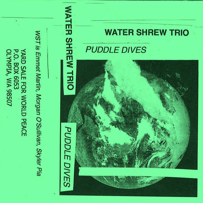 Water Shrew Trio - Puddle Dives - Reviews - Album of The Year