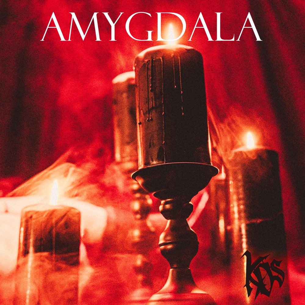 KOS - Amygdala (EP) - Reviews - Album of The Year