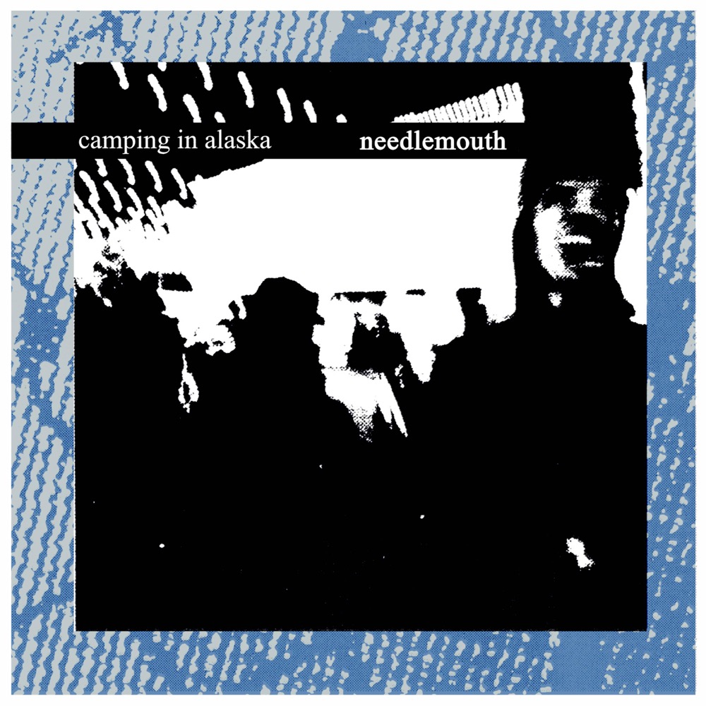 Camping In Alaska - Needlemouth (Single) - Reviews - Album of The Year