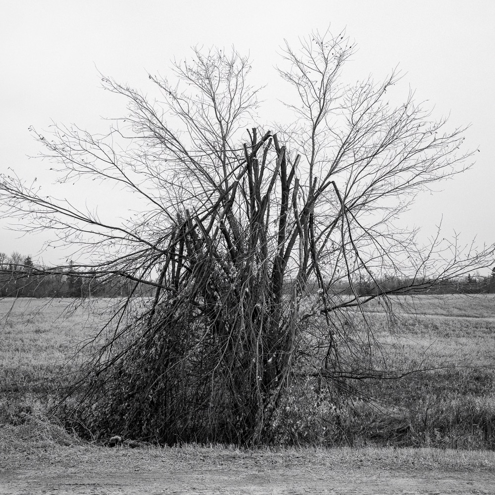 Cole Peters - Four Unbindings - Reviews - Album of The Year