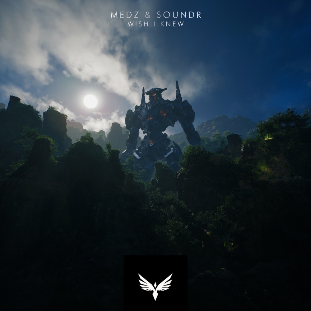 MEDZ & Soundr - Wish I Knew - Reviews - Album of The Year