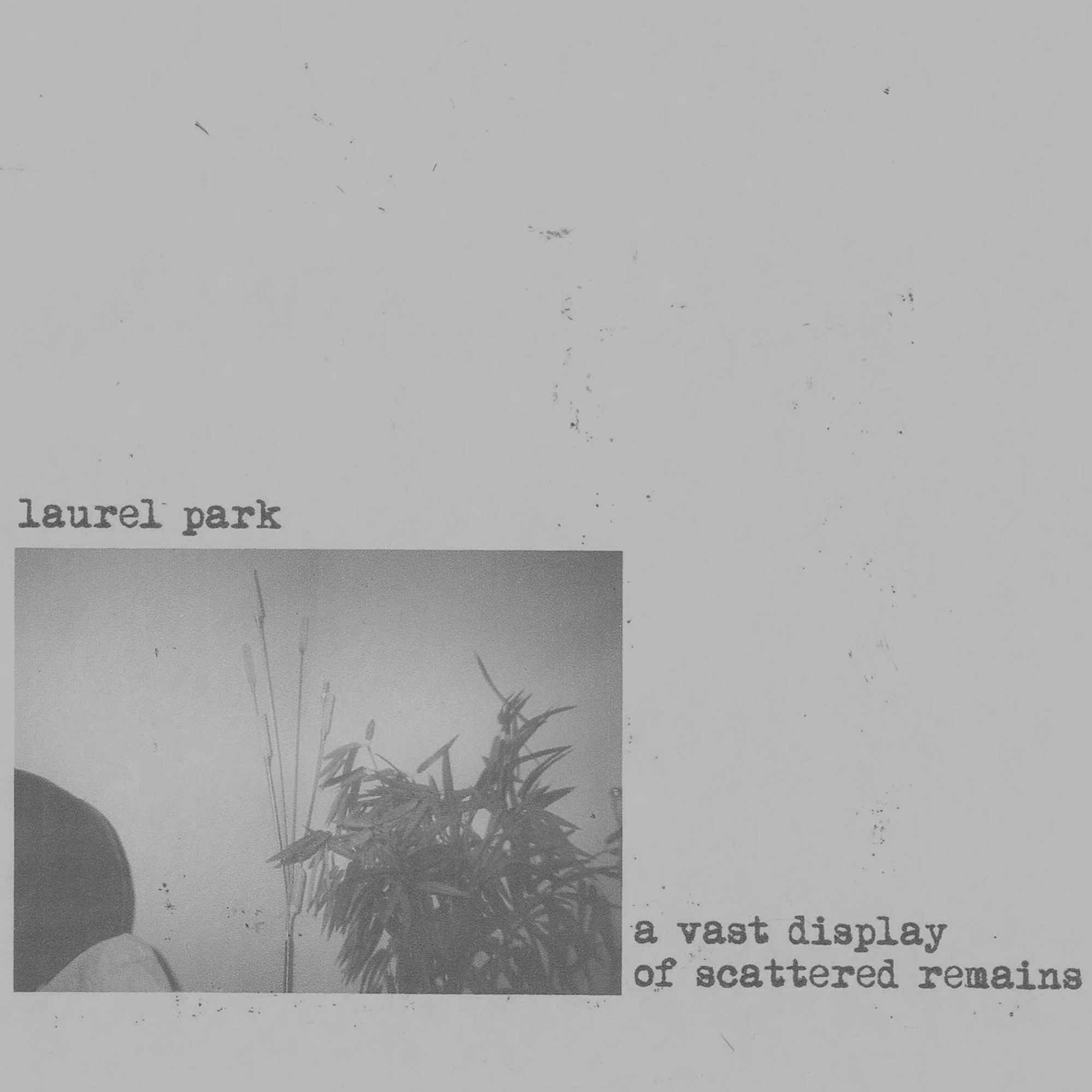Laurel Park - A Vast Display of Scattered Remains (EP) - Reviews ...