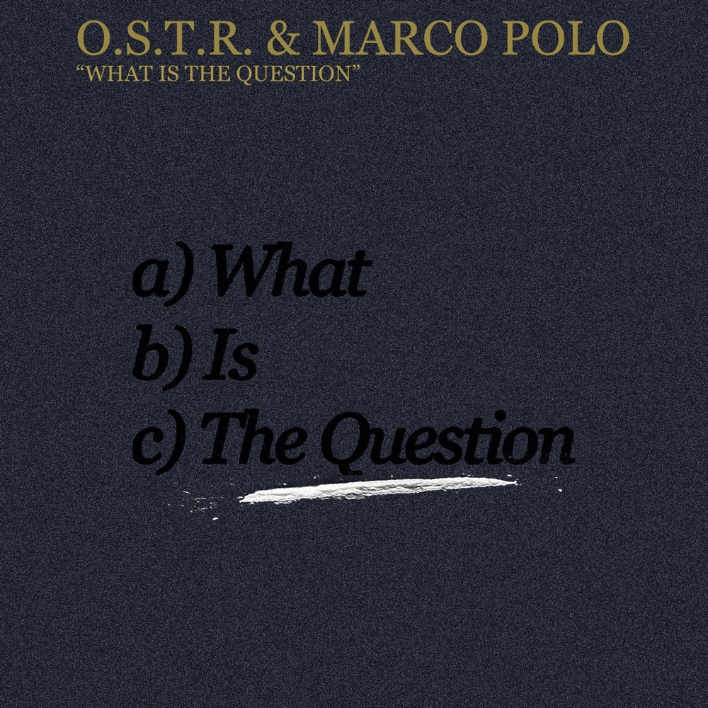 O.S.T.R. & Marco Polo - What Is The Question (Single) - Reviews - Album ...