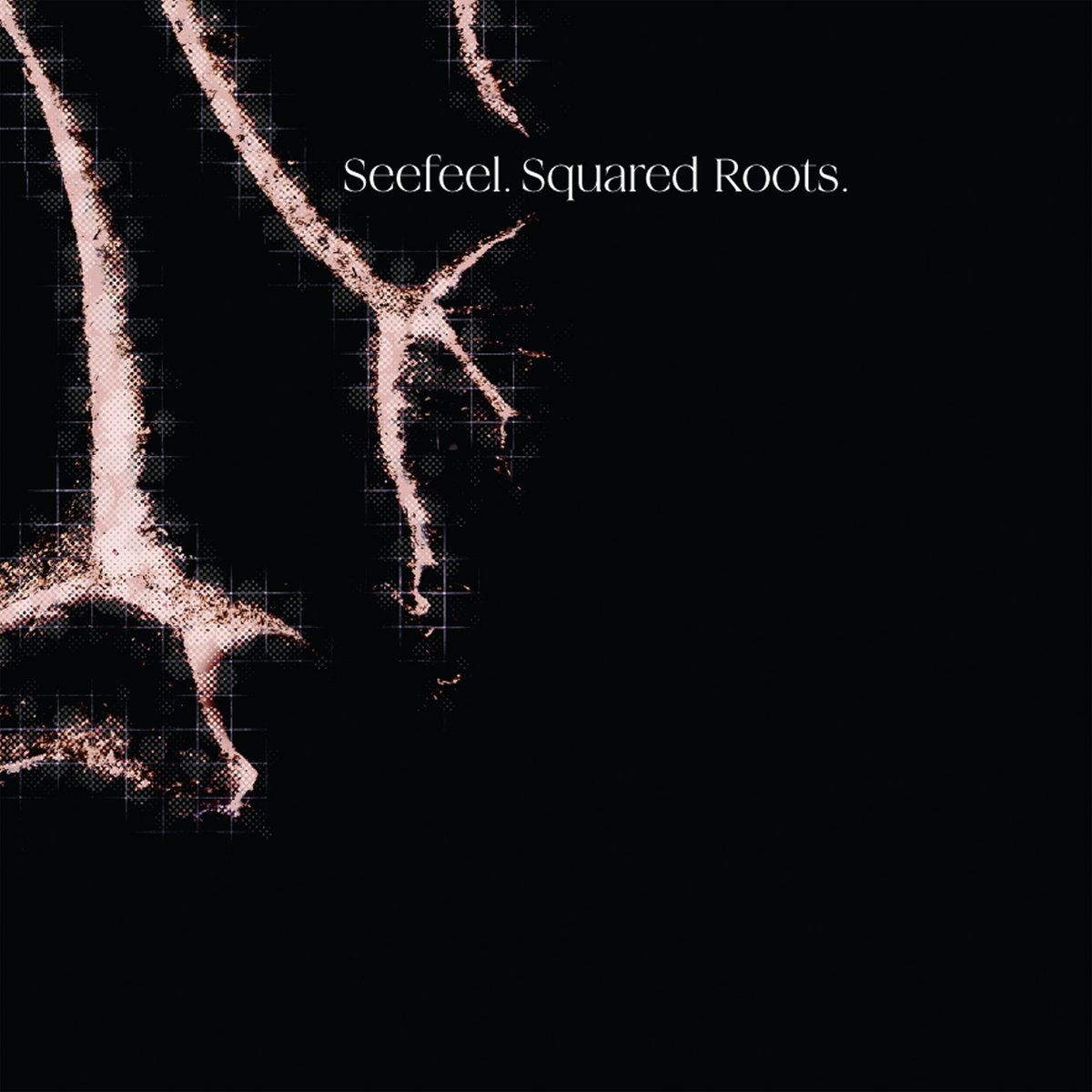 Seefeel - Squared Roots - Reviews - Album of The Year