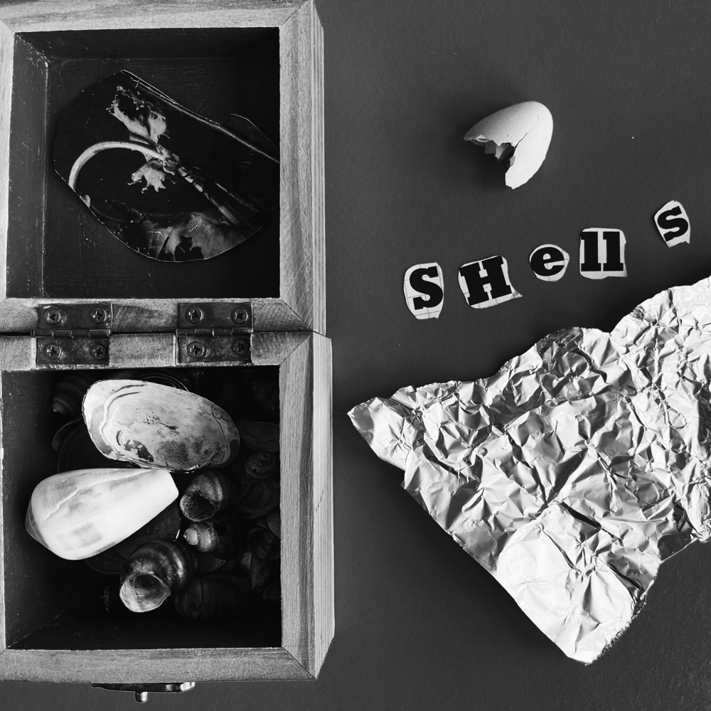 Boyhood - Shells (EP) - Reviews - Album of The Year