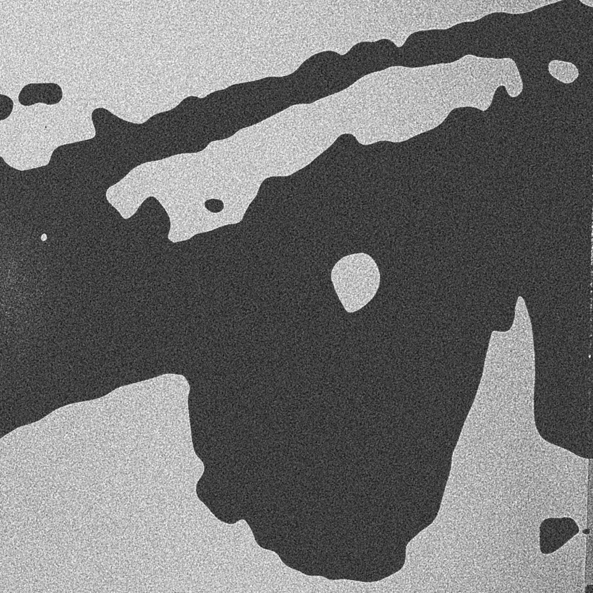 lrwd - amygdala - Reviews - Album of The Year