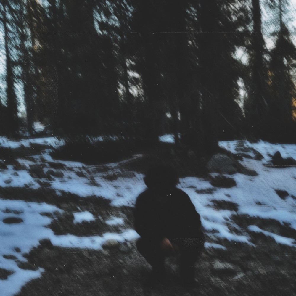 Xójira - the day you killed yourself review by DanikaMoo - Album of The ...