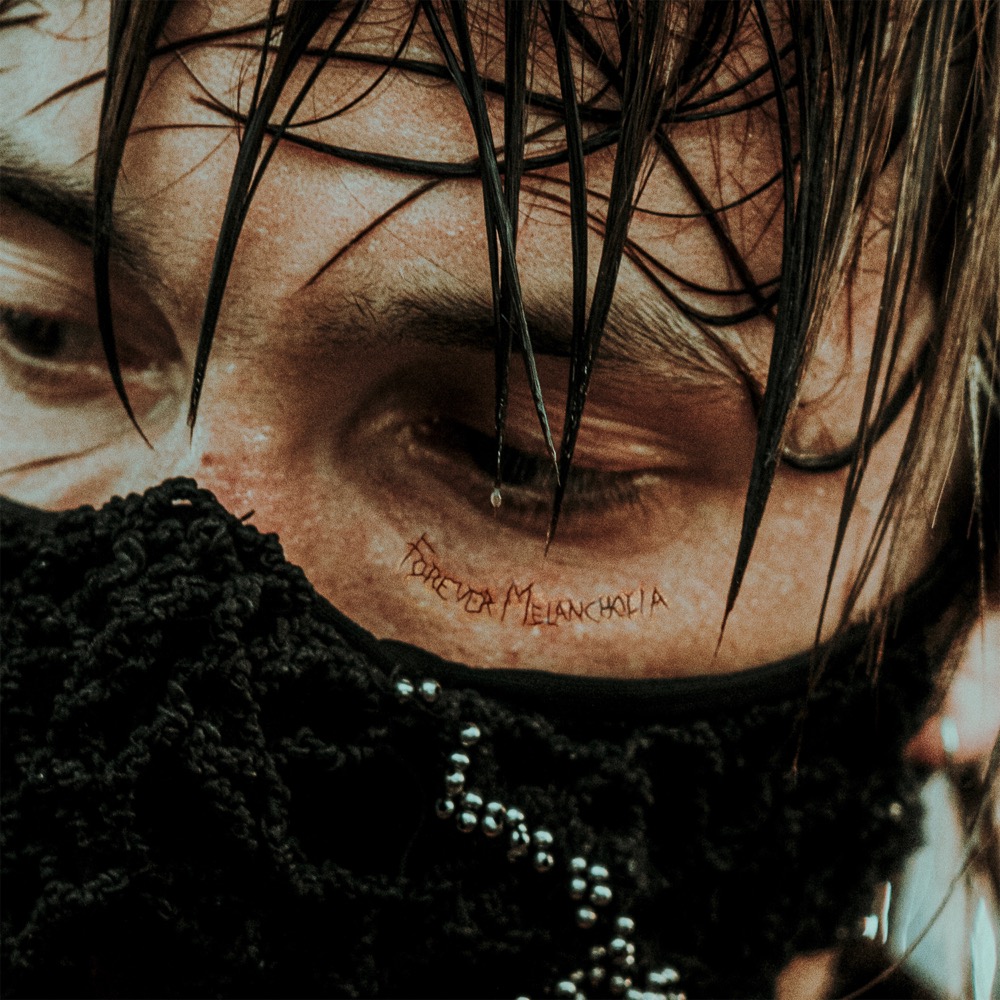 I Hate Models - Forever Melancholia - Reviews - Album of The Year