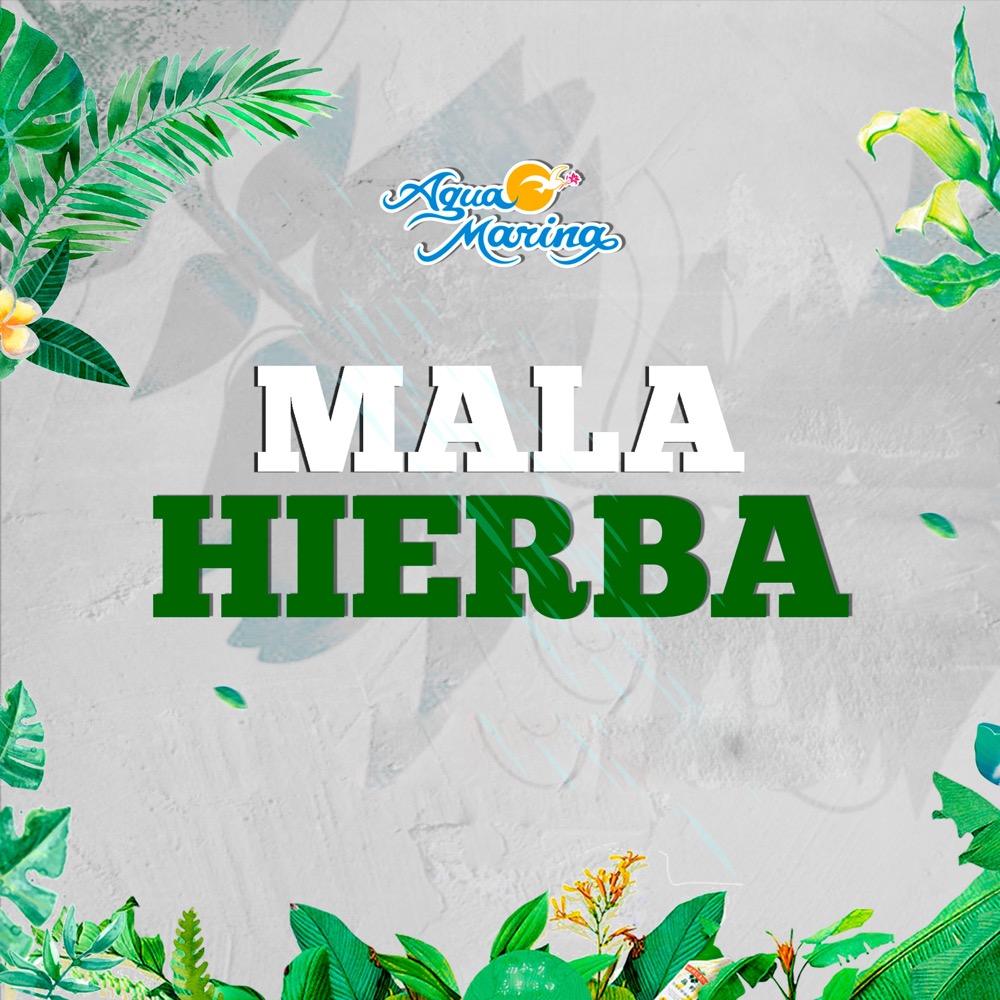 Agua Marina - Mala Hierba - Reviews - Album of The Year