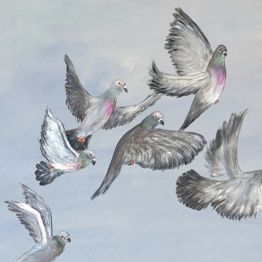 Tom Misch - Better Days - Song Ratings - Album of the Year