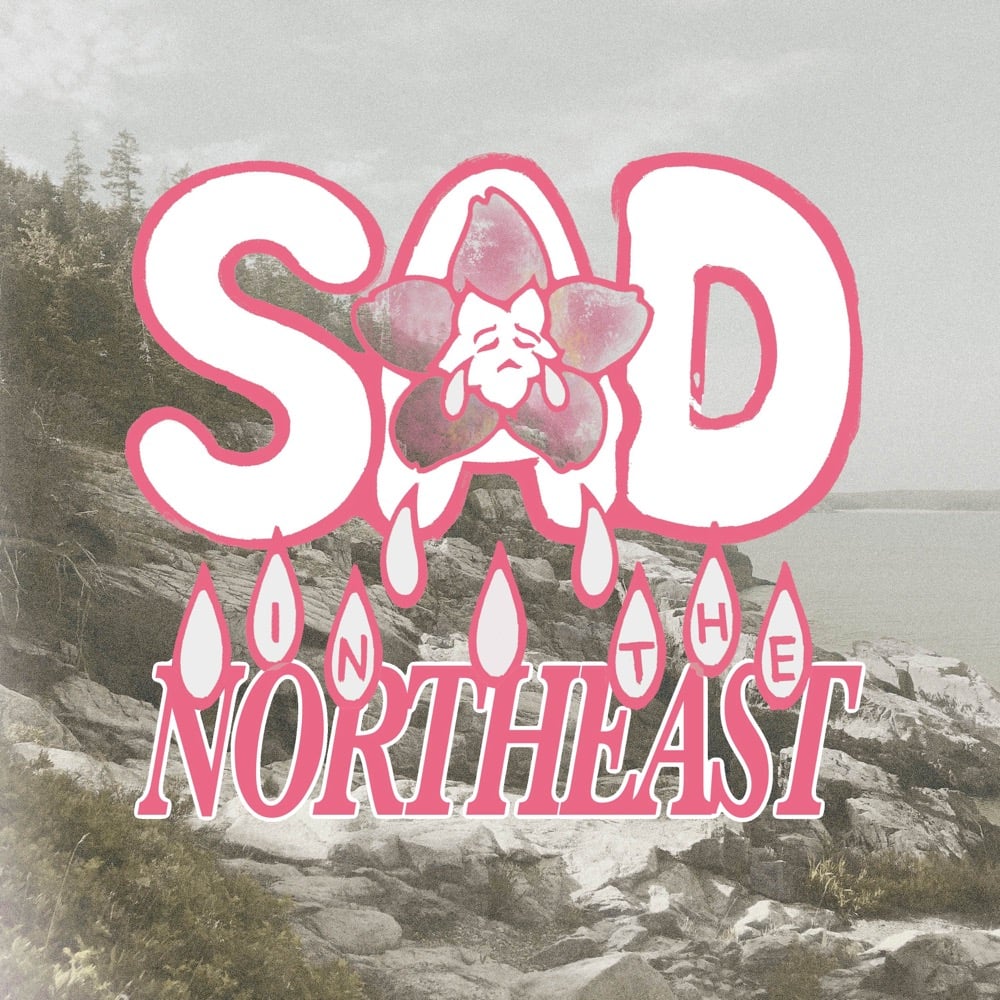 Primrose - Sad in the Northeast - Reviews - Album of The Year