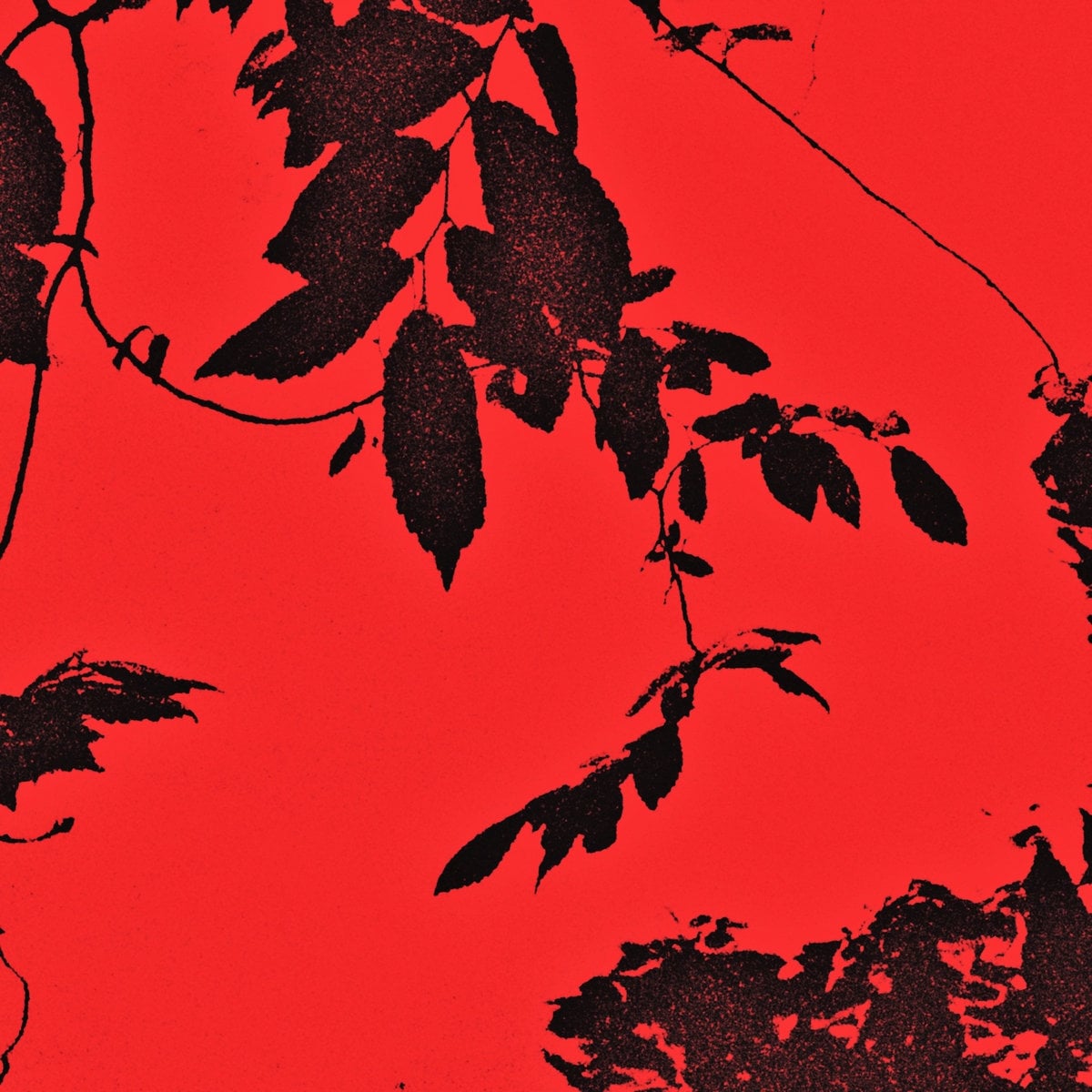 Trhä - monta ana also - Reviews - Album of The Year