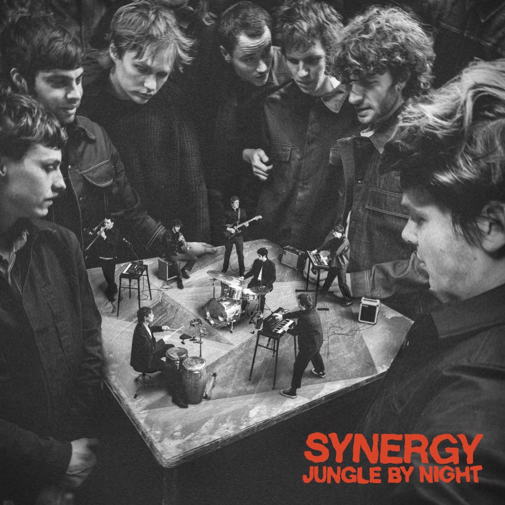 Jungle By Night - Synergy - Reviews - Album of The Year