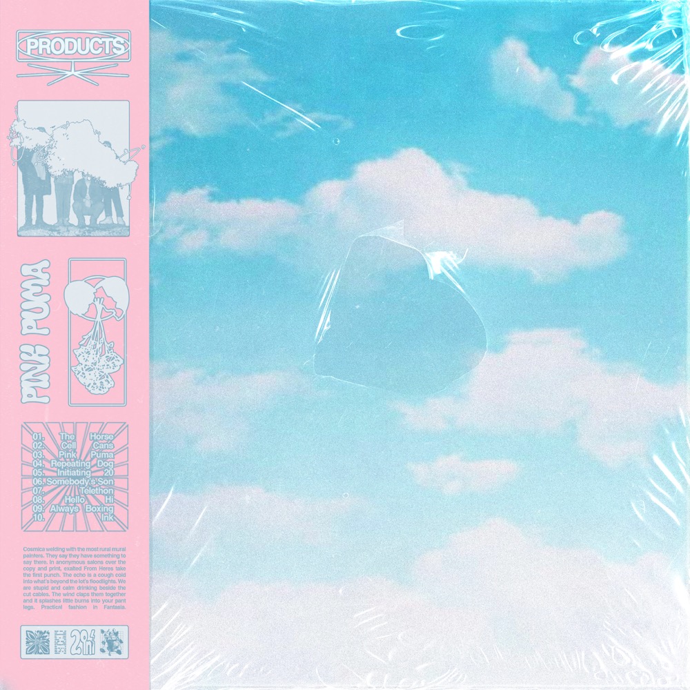 Products Band - Pink Puma - Reviews - Album of The Year