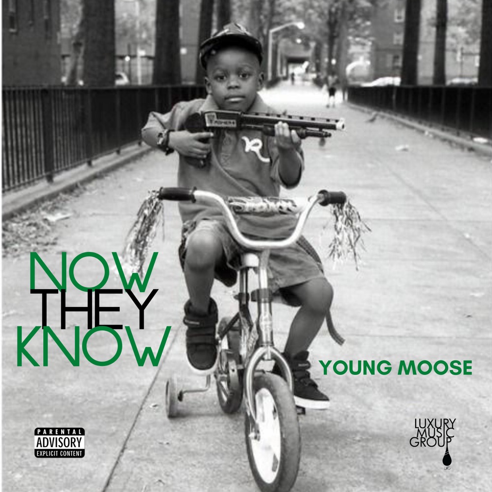 Young Moose - Now They Know - Reviews - Album of The Year