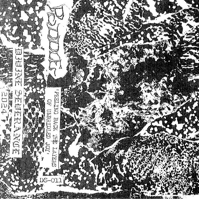 PUDDLE - Peeling Back The Layers Of Unbridled Joy - Reviews - Album of ...