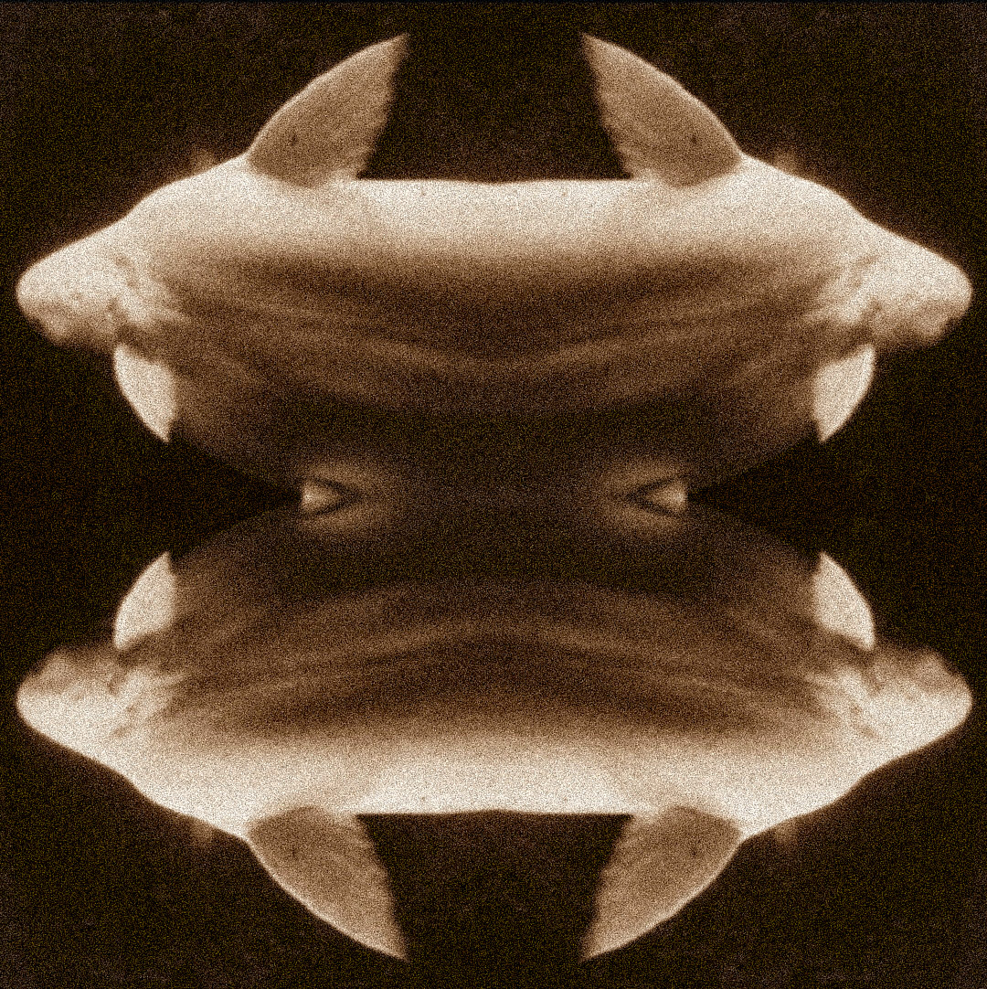 Fársin - Do Fishes Dream of Dying Oceans - Reviews - Album of The Year