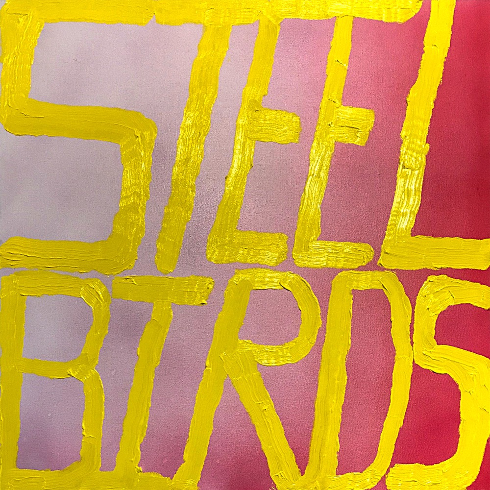 Slow Pulp - Steel Birds - Reviews - Album of The Year