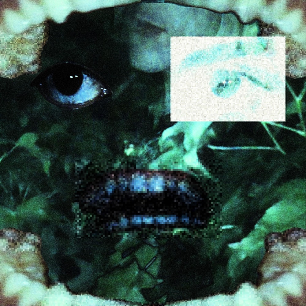 bleachwings - teeth (Single) - Reviews - Album of The Year